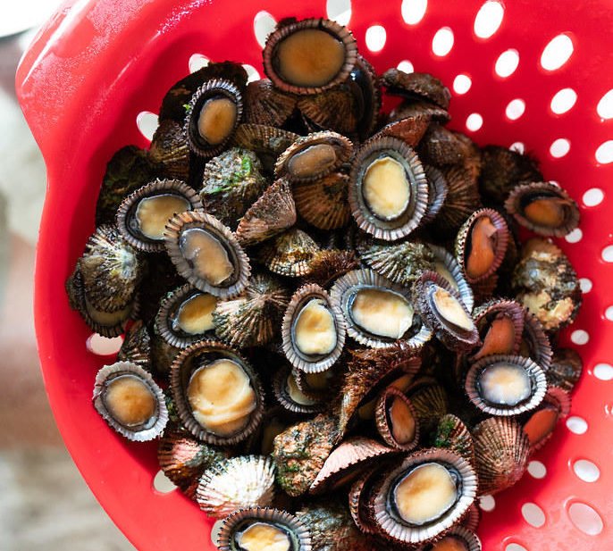 Opihi, The Hawaiian Limpet - Onolicious Hawaiʻi