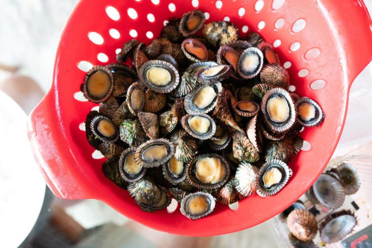 Opihi, The Hawaiian Limpet - Onolicious Hawaiʻi