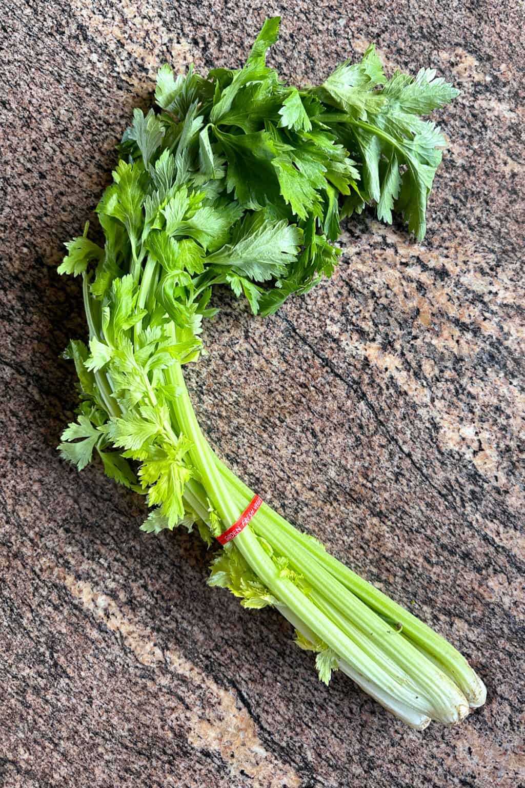 Chinese Celery - Onolicious Hawaiʻi