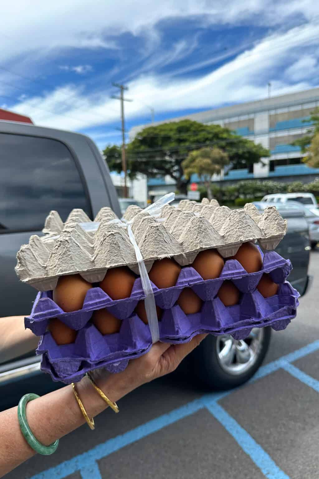 Eggs Hawaii / Ka Lei Eggs (Oahu) - Onolicious Hawaiʻi