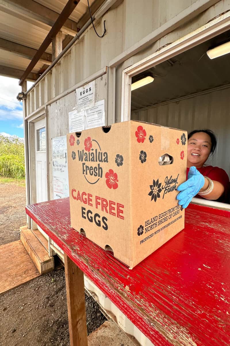 Local Eggs - Onolicious Hawaiʻi