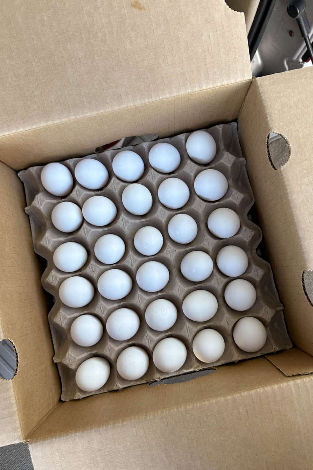 Local Eggs - Onolicious Hawaiʻi