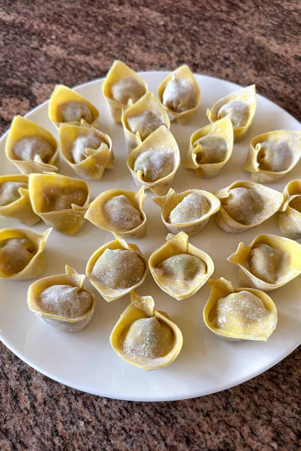 Shrimp and Pork Wontons - Onolicious Hawaiʻi